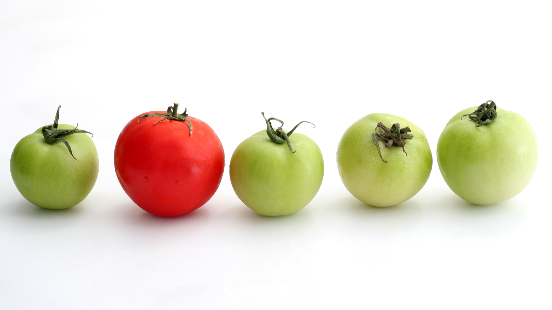 Being the same and different: Personal identity versus Board identity ...